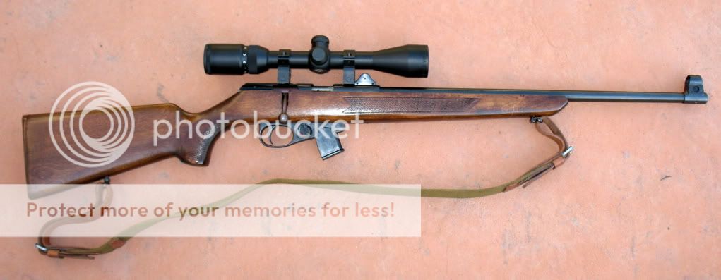 Thoughts on the Winchester Wildcat? - Calguns.net