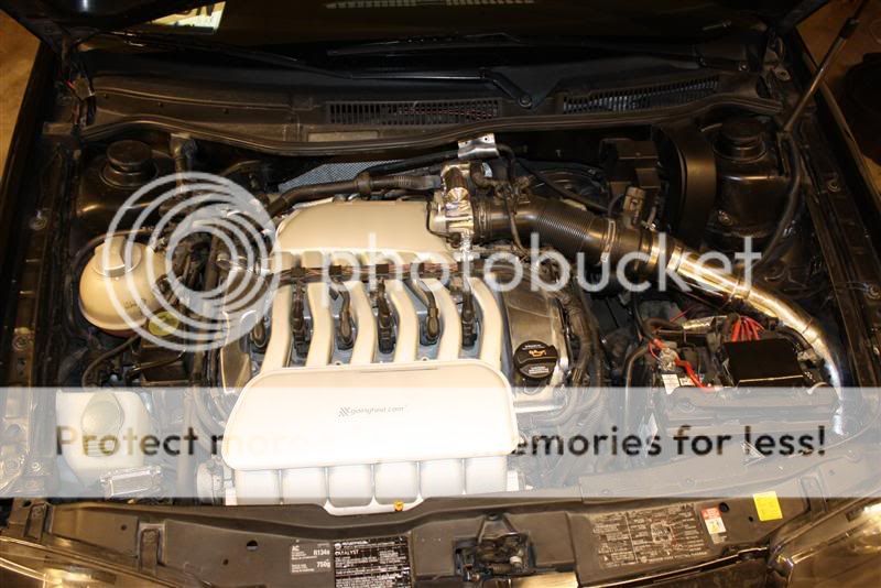 24v Engine Bay Thread | Page 4 | VW Vortex - Volkswagen Forum
