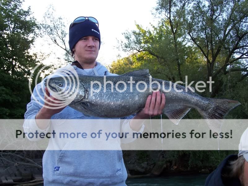 unOfficial VWVortex Ontario Fishing Thread | Page 2 | VW Vortex ...