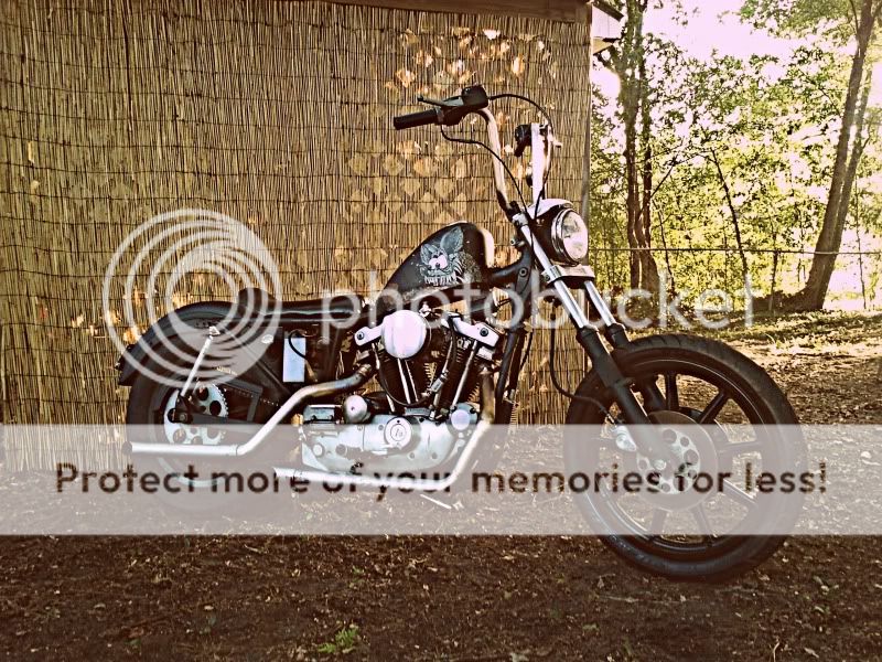 lets see some Ironhead pics | Page 23 | Jockey Journal Forum