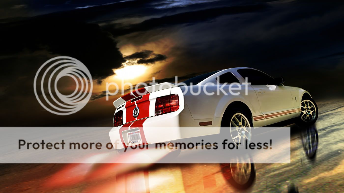 Hazman Mustang Slide Show | Ford Shelby GT500 Forum