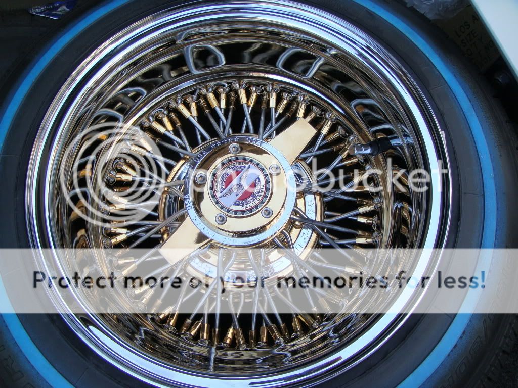 ZENITH WIRE WHEELS 2008 | Page 19 | LayItLow.com Lowrider Forums