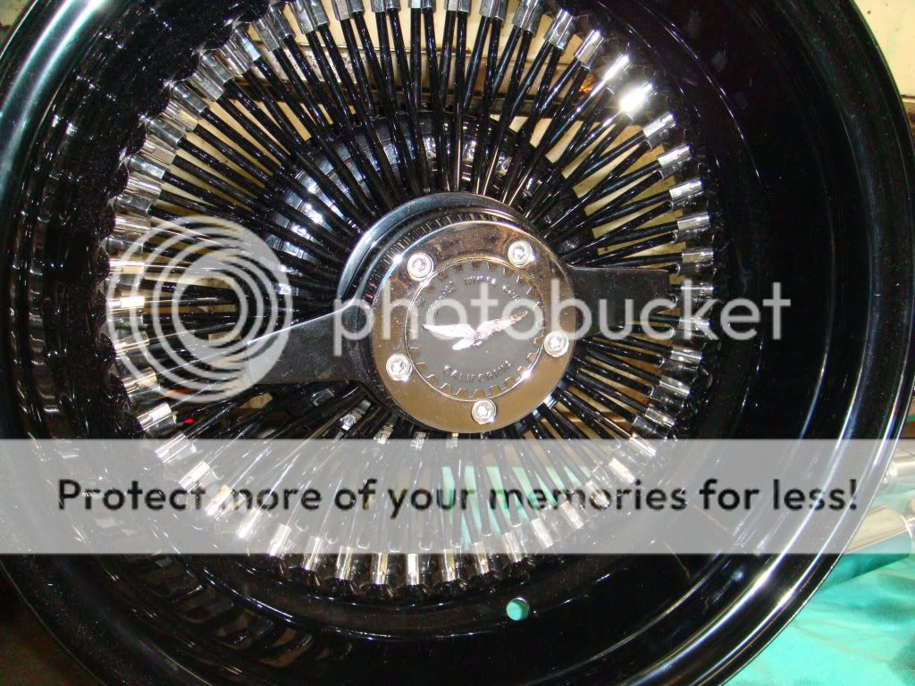 ZENITH WIRE WHEELS 2008 | Page 24 | LayItLow.com Lowrider Forums