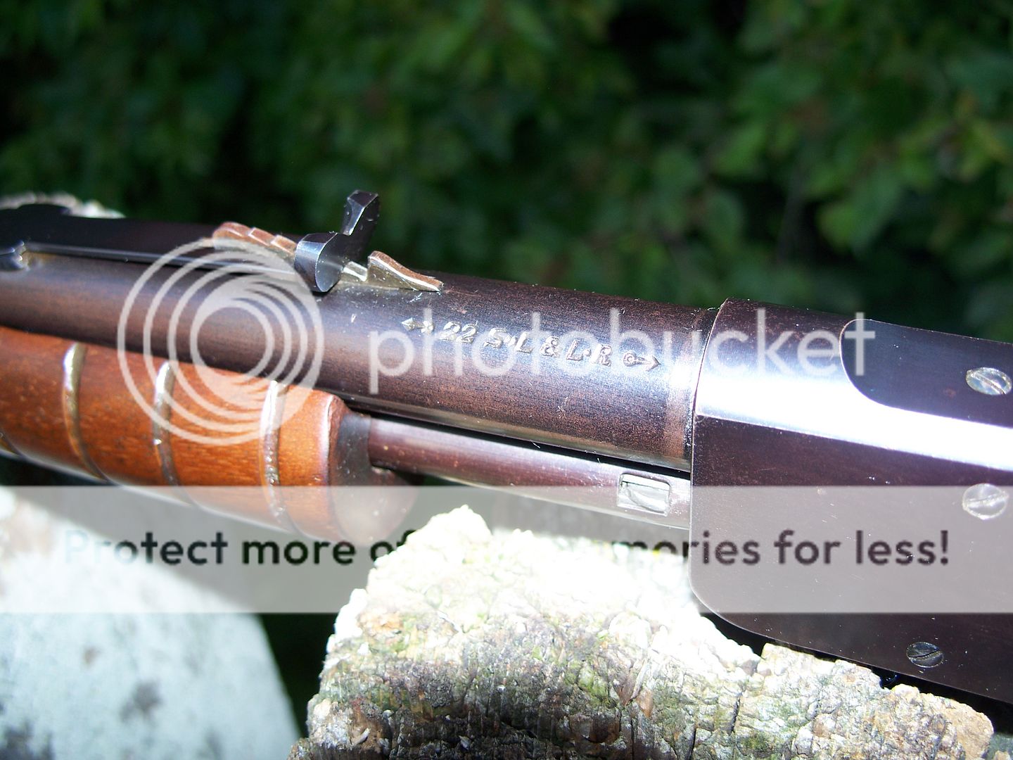 The Case for the Marlin Model 37 .22 Pump Rifle | Marlin Firearms Forum