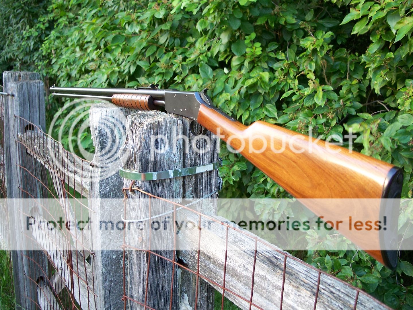 The Case for the Marlin Model 37 .22 Pump Rifle | Marlin Firearms Forum