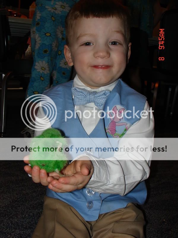 does any one know how to dye chicks? | BackYard Chickens - Learn How to ...