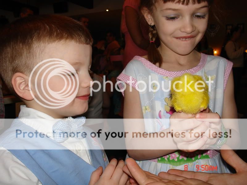 does any one know how to dye chicks? | BackYard Chickens - Learn How to ...